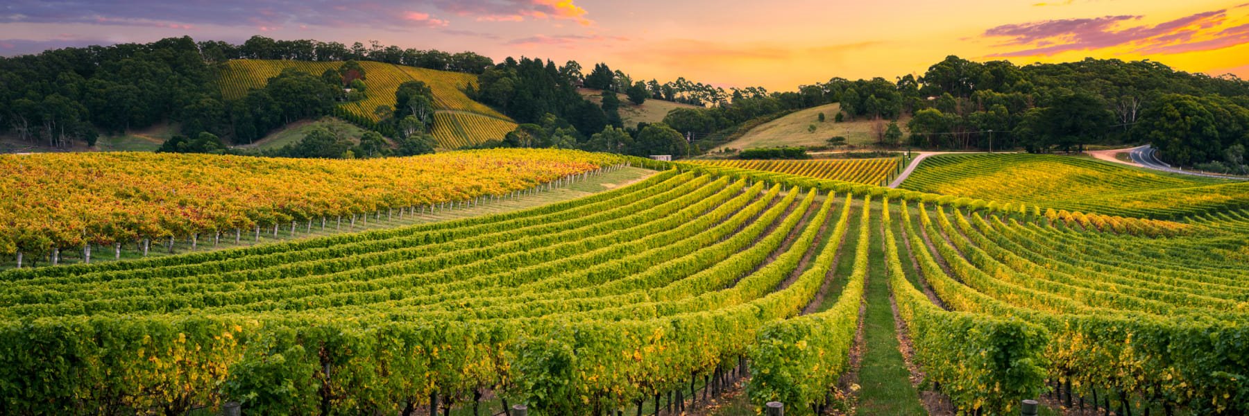 Exclusive Julian Hotel Deals | Julian Gold Rush Hotel Specials